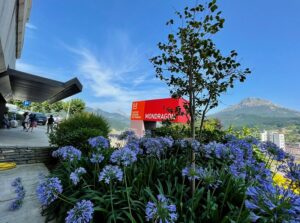 Platform Cooperatives “Made in Mondragón”? | Platform Cooperativism ...